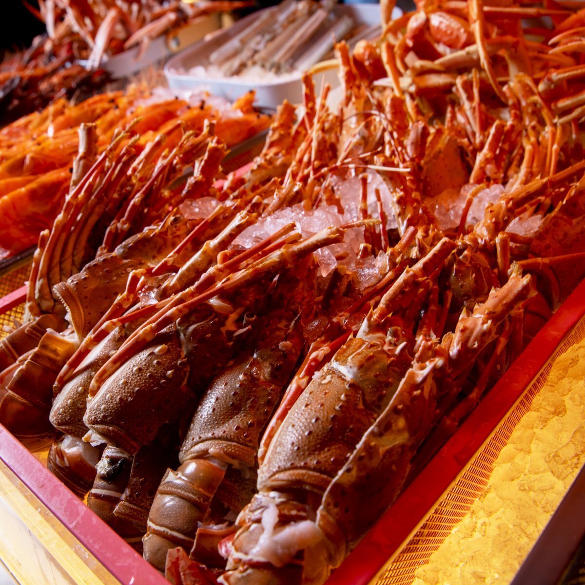 thyme review menu price update 2025 - eatigo MY Blog