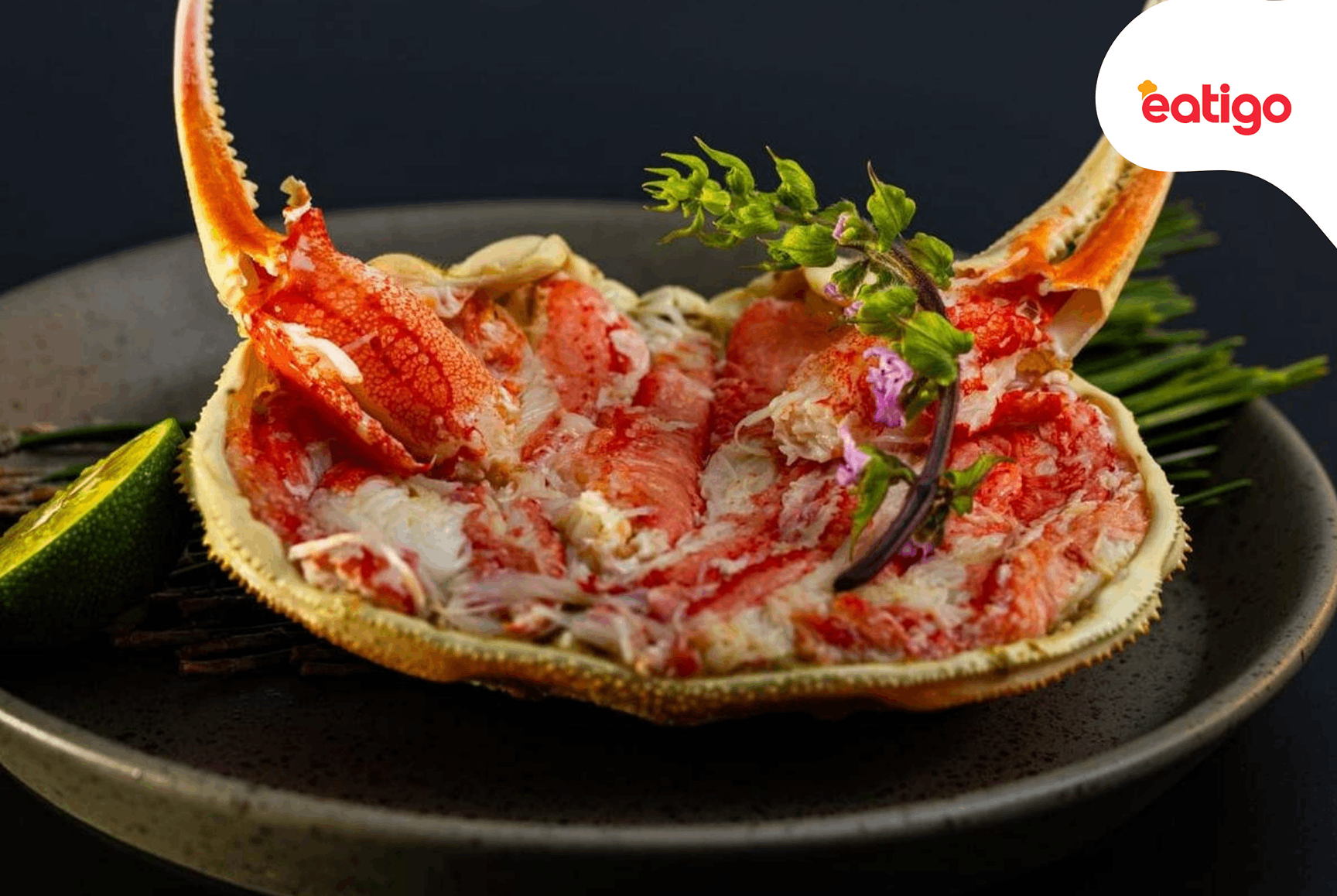 15 Best lavender food update 2026